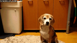 7 collocations com o verbo "to catch"